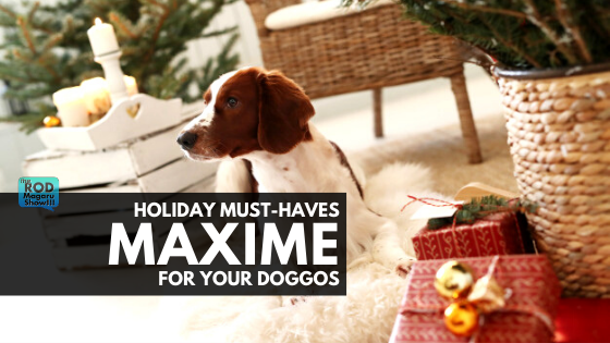 5 Things To Do with your doggos for the Christmas Season - The Rod ...